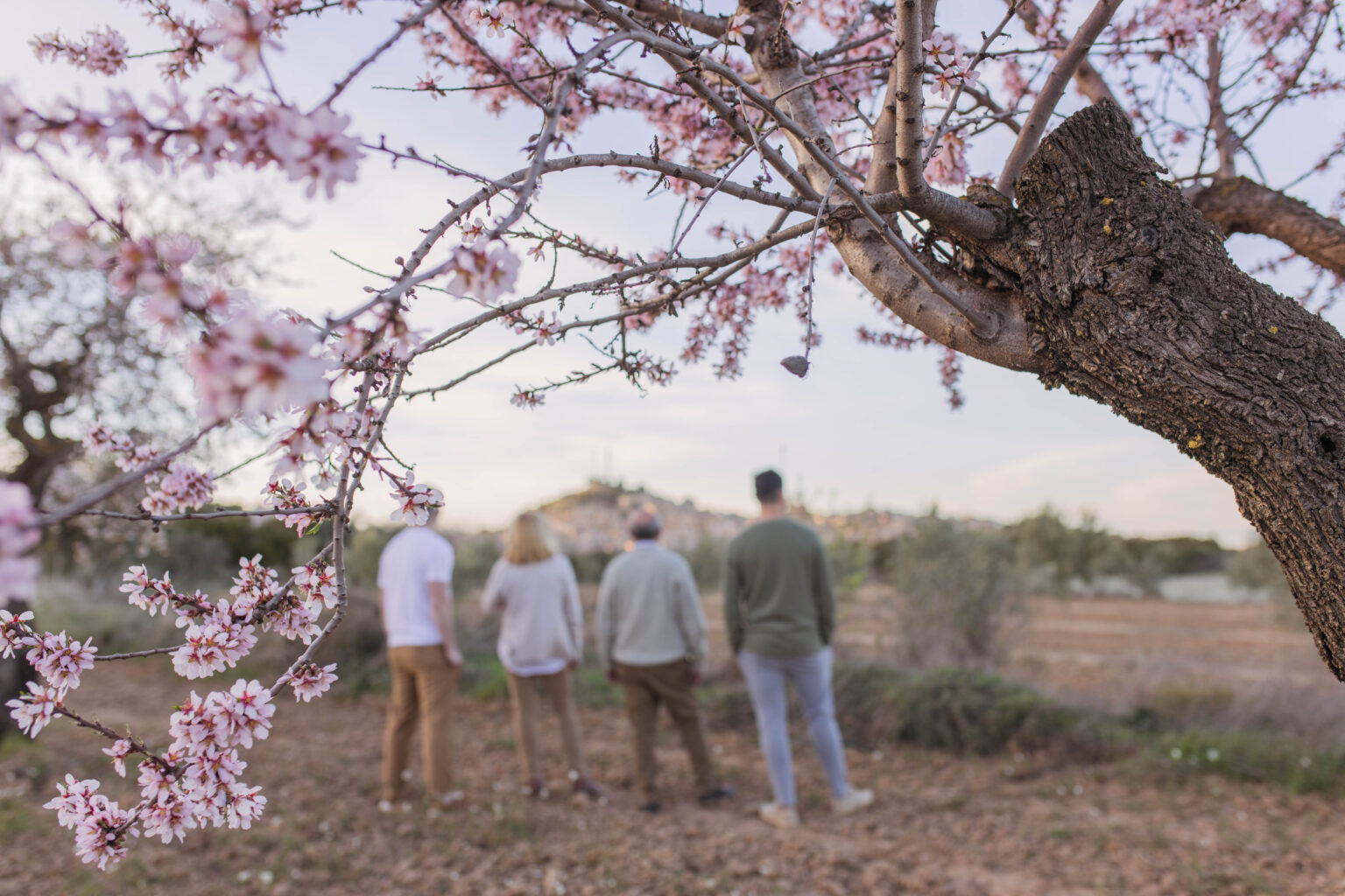 Qué ver en calaceite y sus imprescindibles | Fonda Alcalá